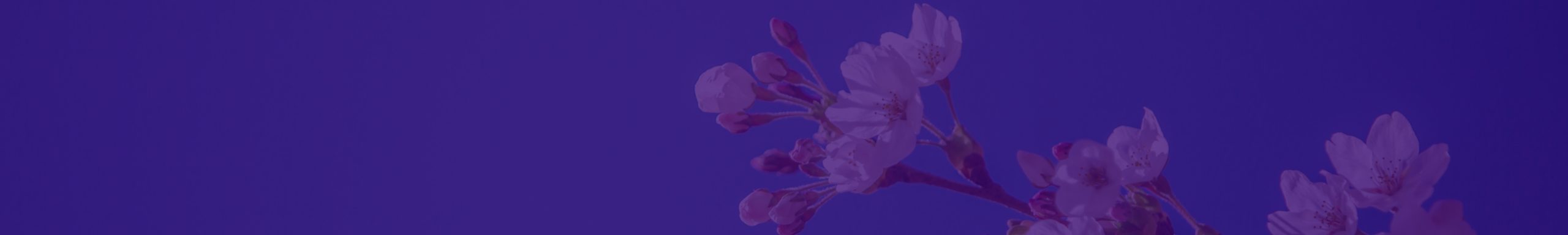 Med+Proctor Tutorial | Well-Being | University of Washington