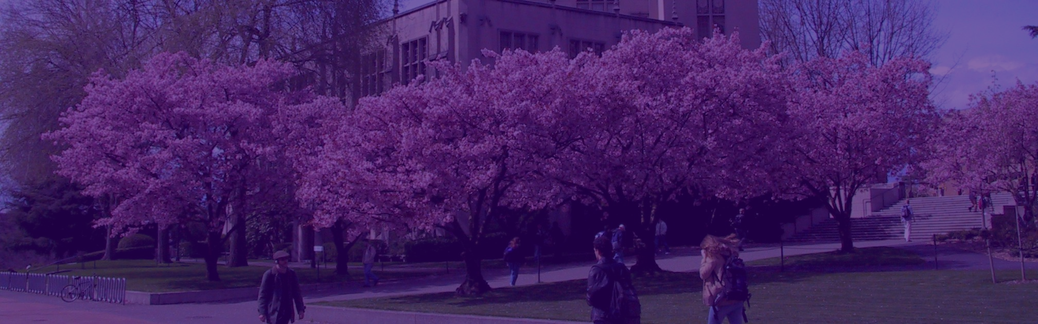 Let’s Talk | Well-Being | University of Washington